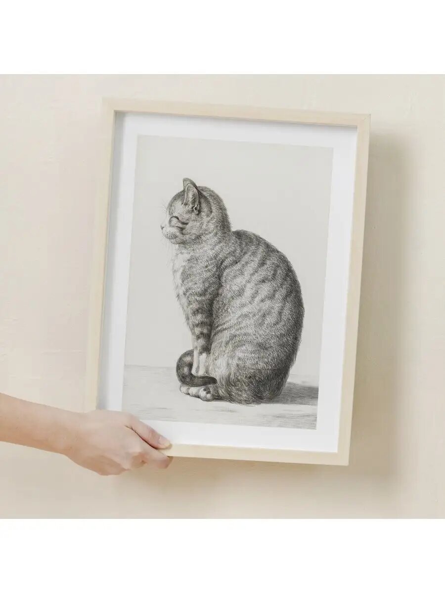 Постер кот котик рисунок карандашом ретро постер, 50 x 70 см (с полями), бумага, без рамы