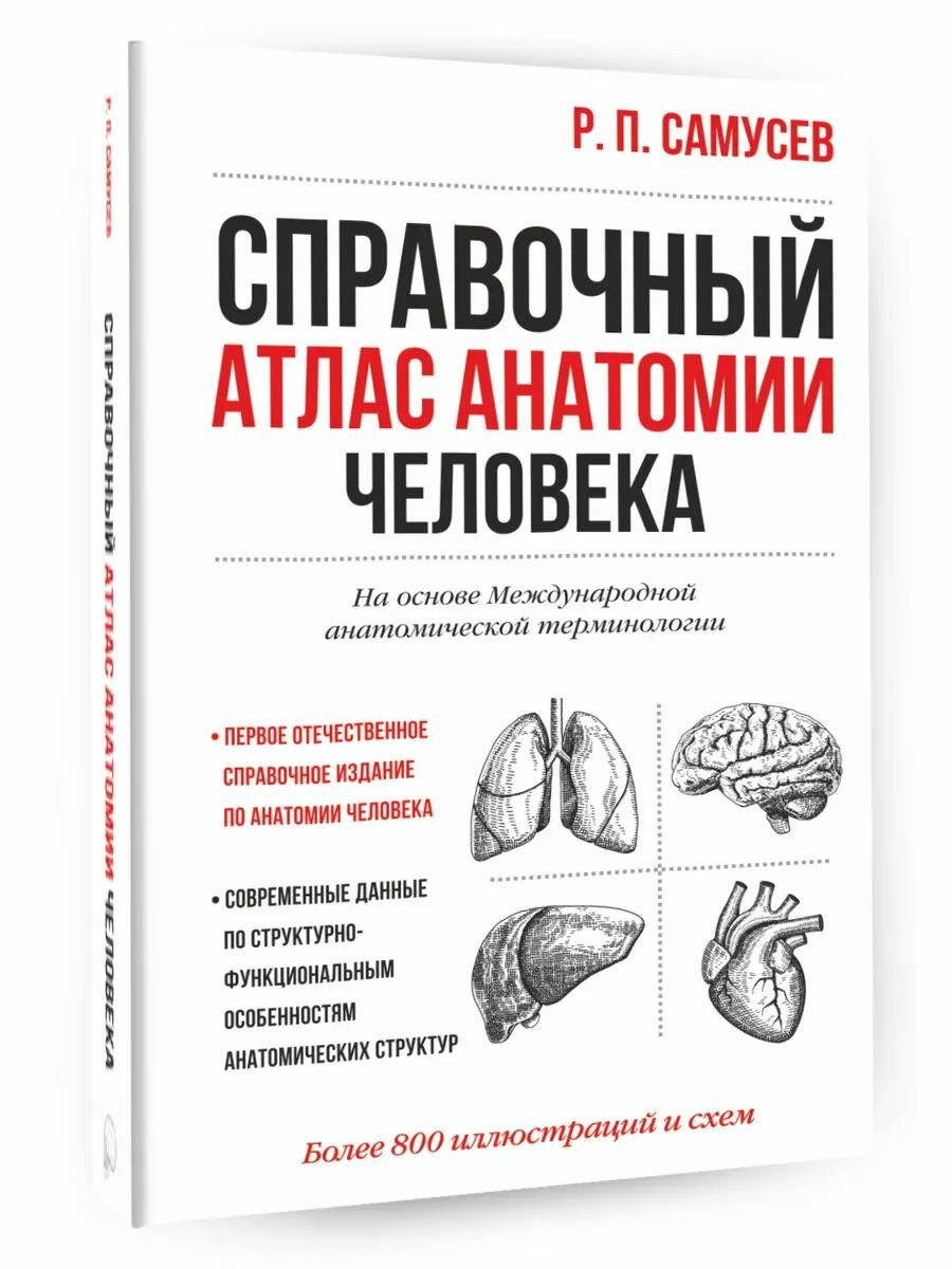 Справочный атлас анатомии человека