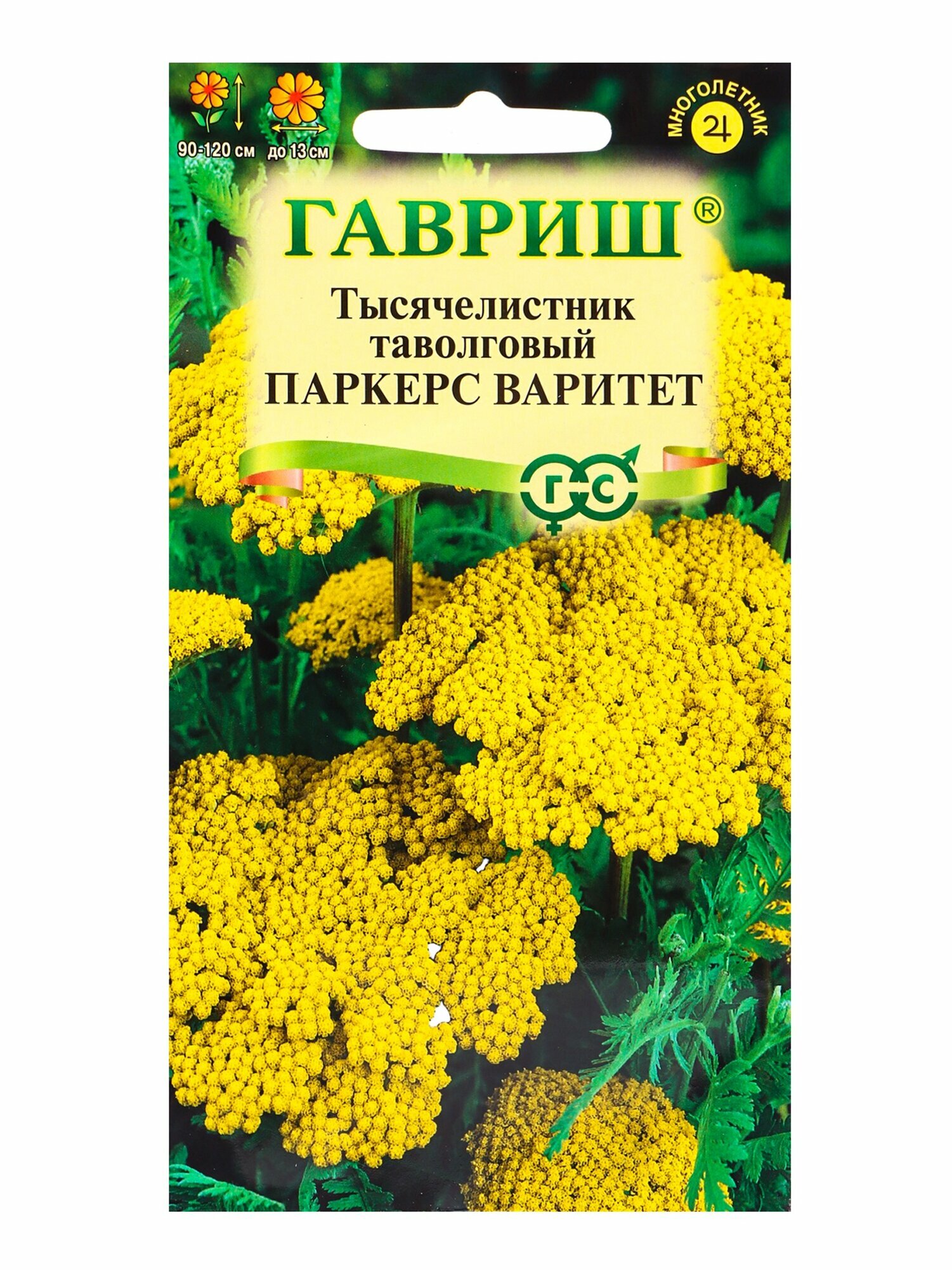 Семена цветов Тысячелистник таволговый «Паркерс Варитет» 0.05 г