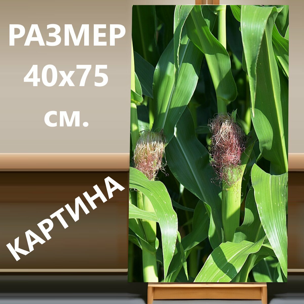 Картина на холсте "Кукуруза, кукуруз, растения" на подрамнике 75х40 см. для интерьера