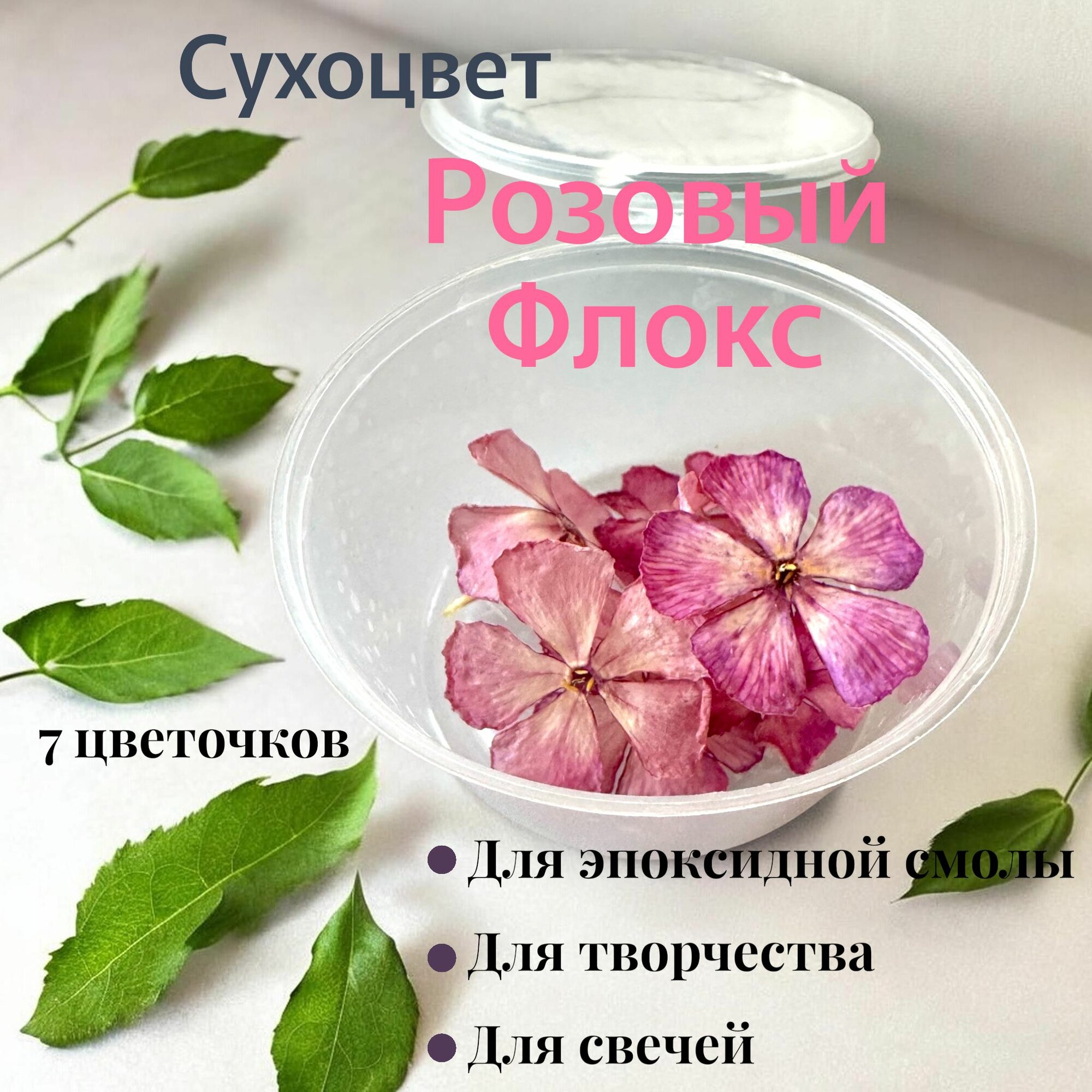 Сухоцвет Флокс Розовый. Набор сухоцветов для эпоксидной смолы, свечей и творчества