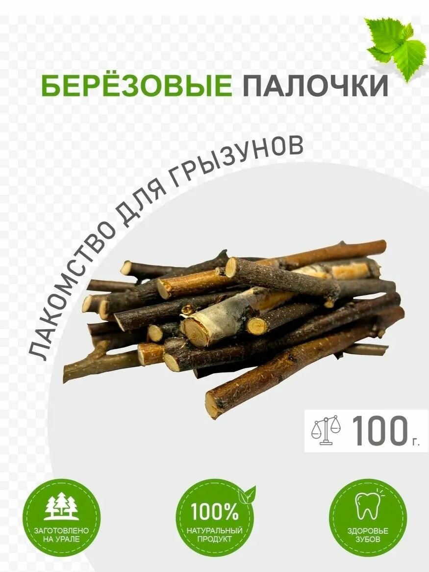 Веточки березы для грызунов и птиц