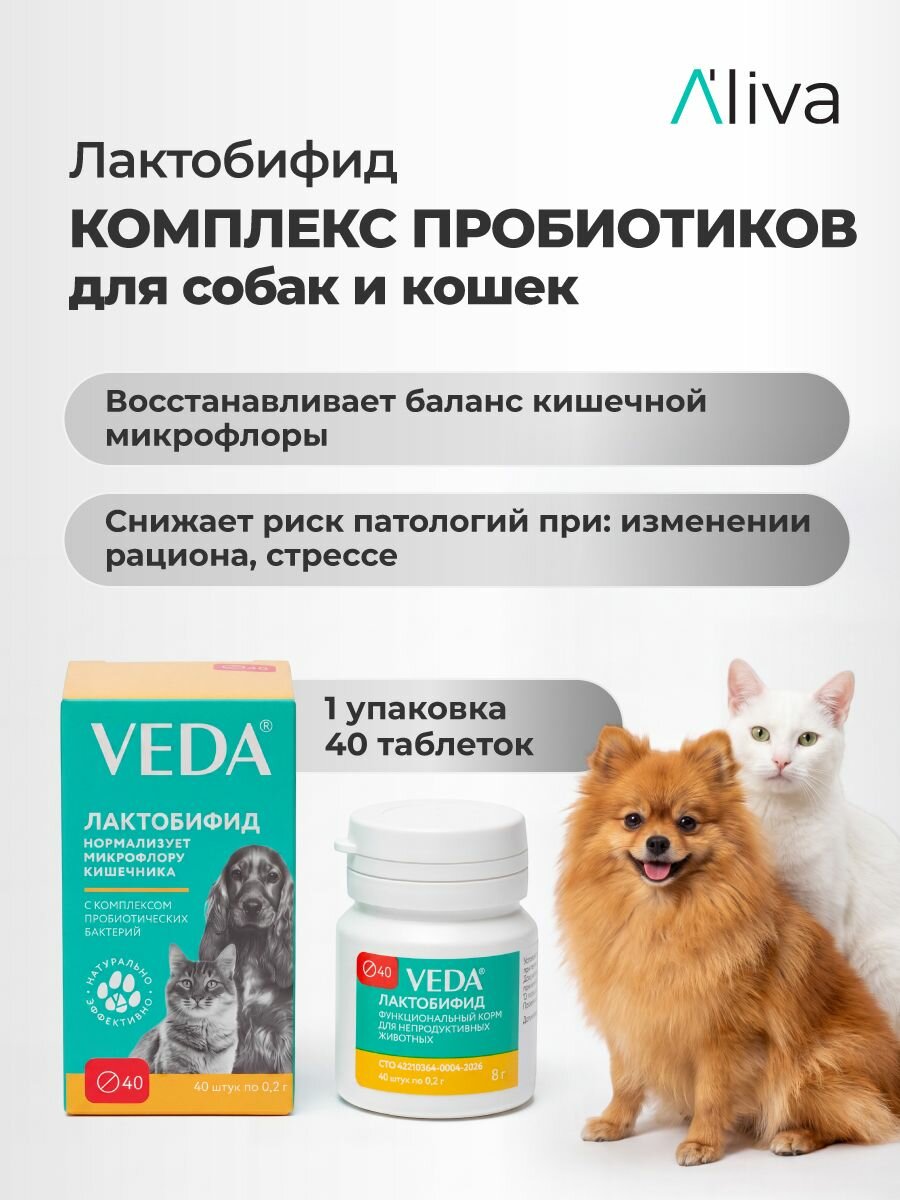 Комплекс пробиотиков для кошек и собак, лактобифид, VEDA, 40 таб, 1 шт.