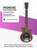 Электрогитара PIGNOSE PGG-200MH STBR