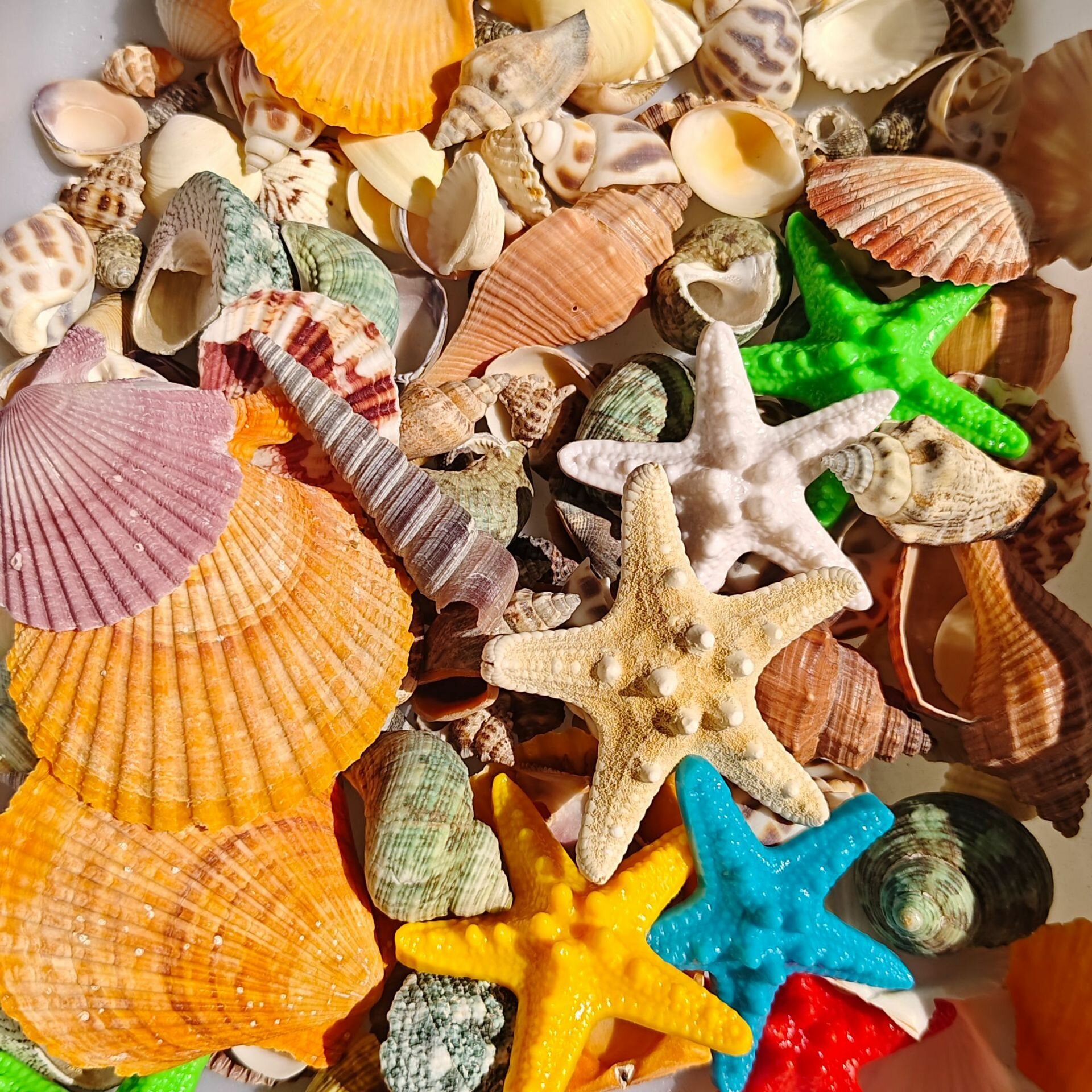 100g Ракушки для аквариума стильный декор и креативный подарок