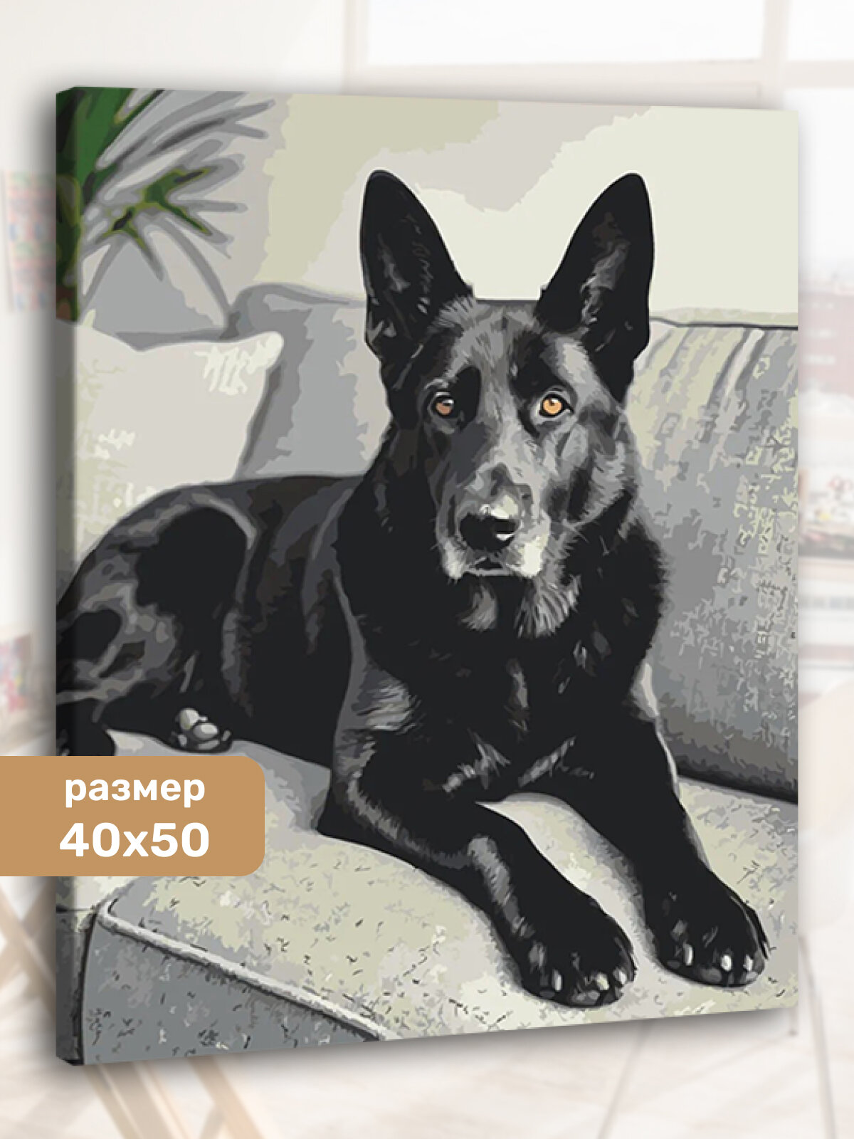 Картина по номерам на холсте и подрамнике "Черная Немецкая овчарка" 40x50см