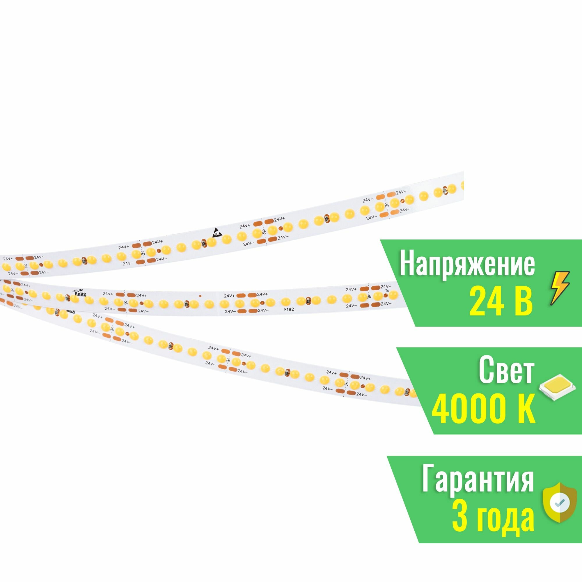 Лента светодиодная DOT-X192-10mm 24V Day4000 (16 W/m, IP20, 5m) (Arlight, Открытый) 040236
