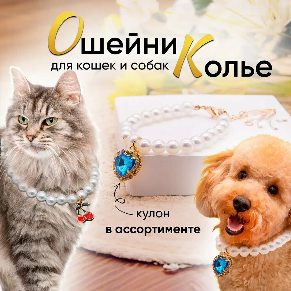 Колье ошейник для кошки и собаки с красным кулоном 15-25см