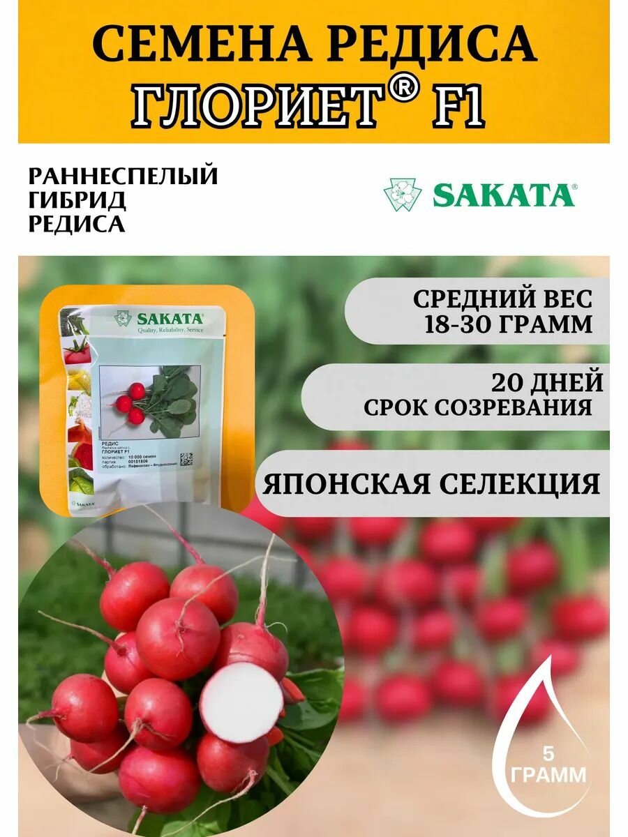 Семена редиса Глориет F1 5 грамм Sakata