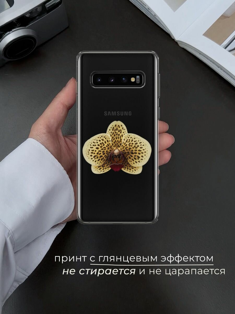 Чехол на Samsung Galaxy S10 / Самсунг Галакси S10 с принтом Желтая орхидея — фото 1