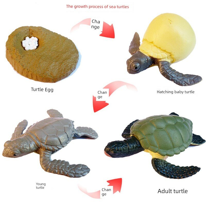 Игрушечная фигурка черепахи, статичная пластиковая модель морского животного, набор маленьких черепах, обучающие