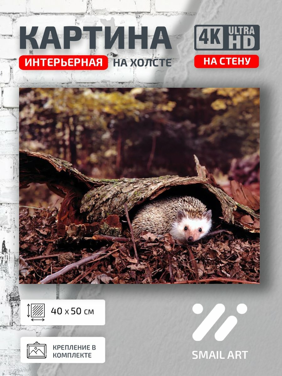 Картина на холсте интерьерная 40 на 50 на стену Деревом Landscape для офиса пейзаж интерьер