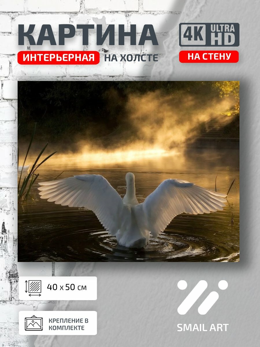 Картина на холсте интерьерная 40 на 50 на стену Крылья Mood для студии атмосфера интерьер