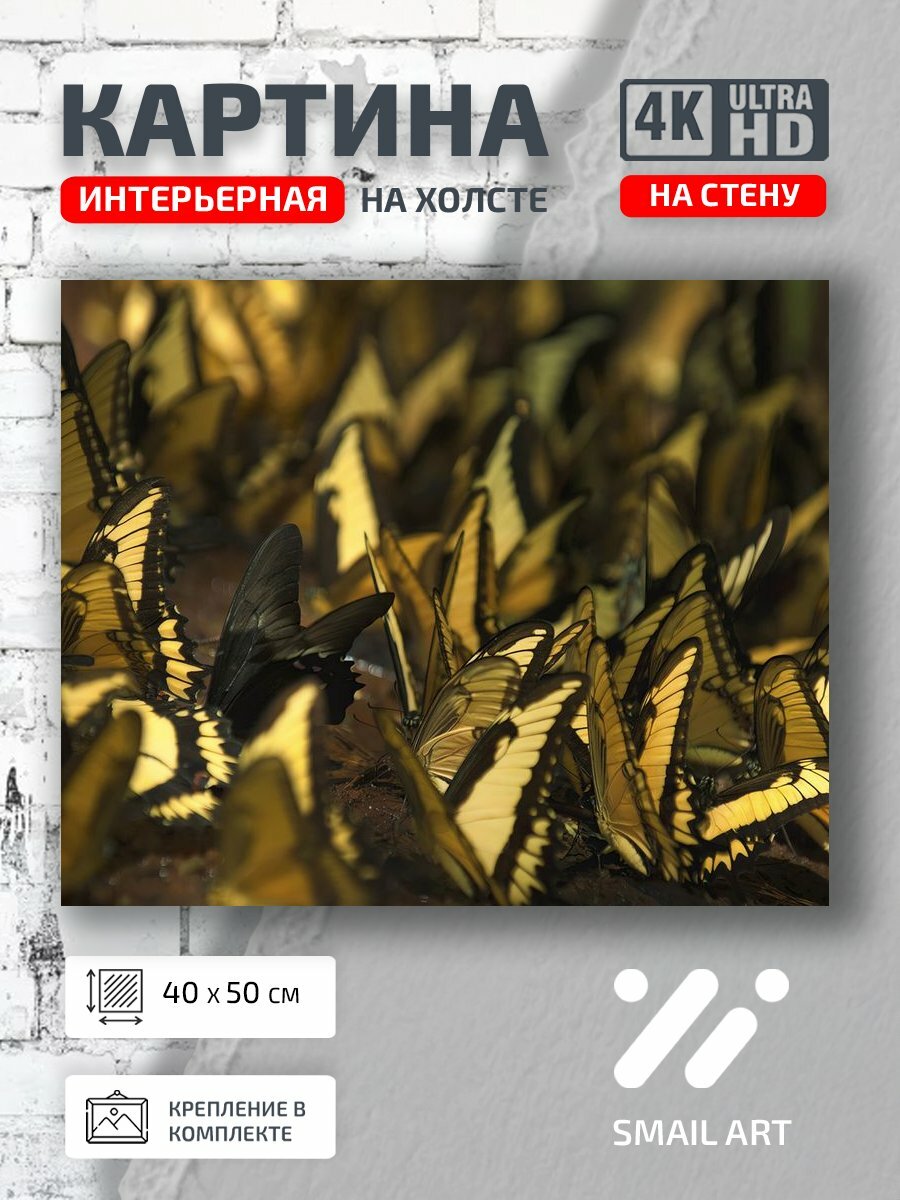 Картина на холсте интерьерная 40 на 50 на стену Бабочки Mood для спальни атмосфера интерьер