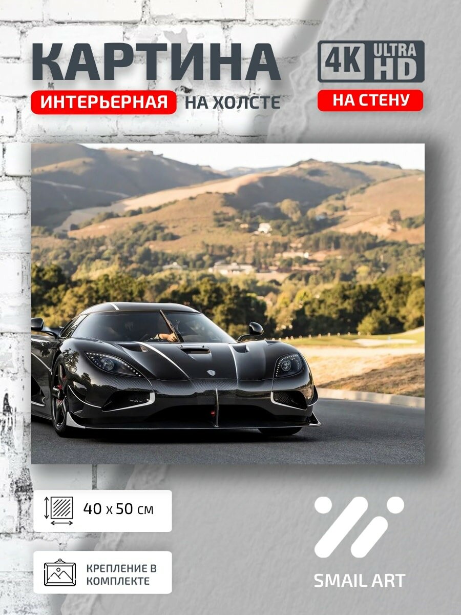 Картина на холсте интерьерная 40 на 50 на стену RS Draken для гостиной атмосфера