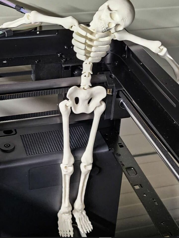 Интерьерная фигурка "Гибкий скелет 32 см." игрушка, антистресс, белый, анатомический