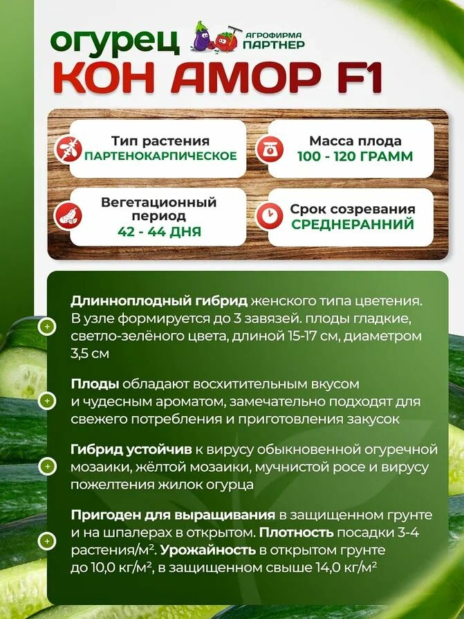Семена огурцов - Кон Амор F1 длинные гладкие, среднеранний гибрид — фото 1