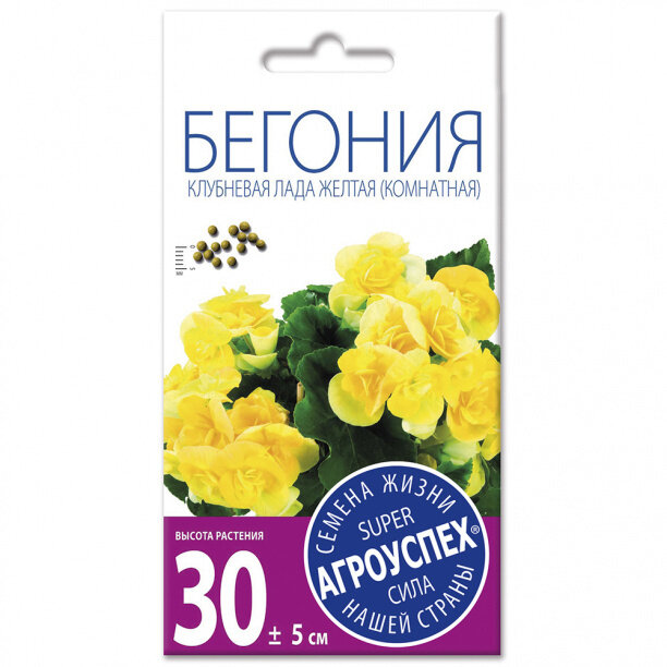Бегония Лада желтая клубневая F1*8шт