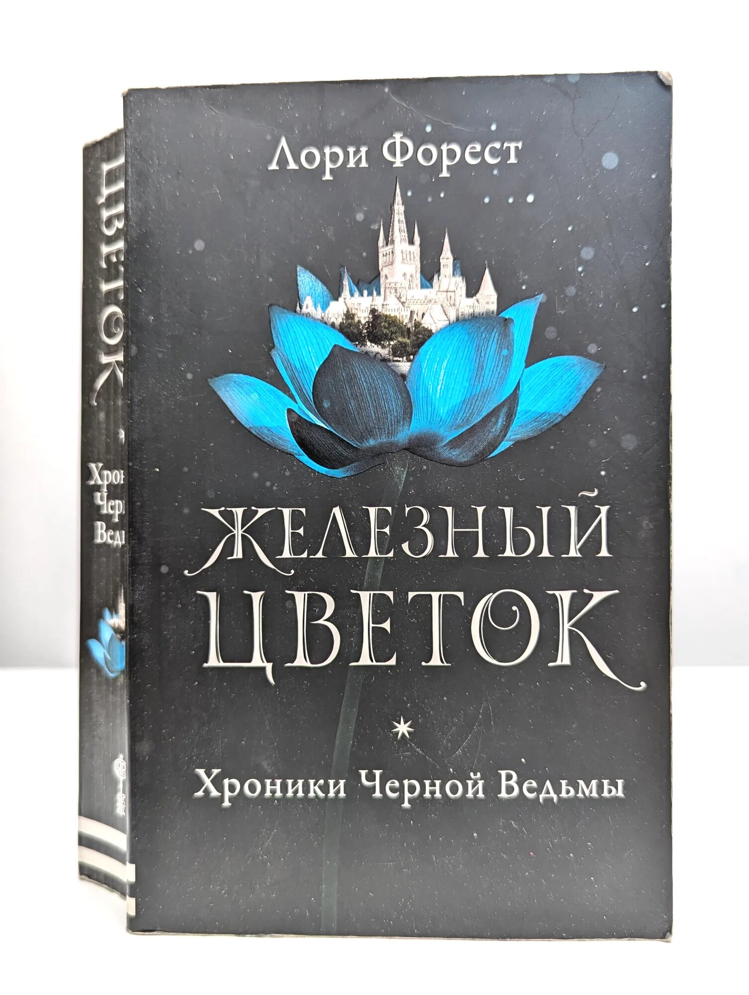Хроники Черной Ведьмы. Железный цветок Фостер Лори 2019