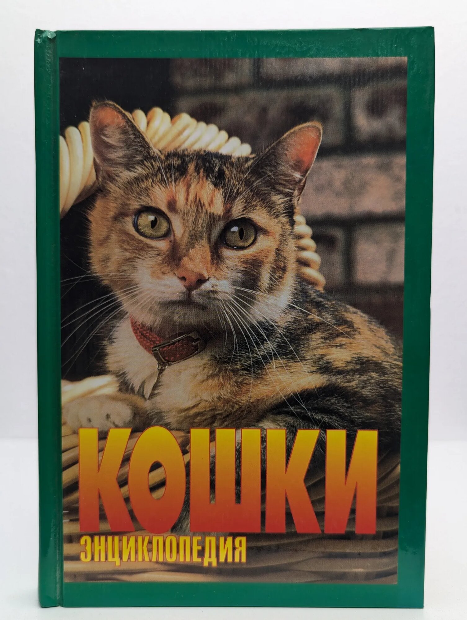 Кошки. Энциклопедия Пуньетти Джино 1998