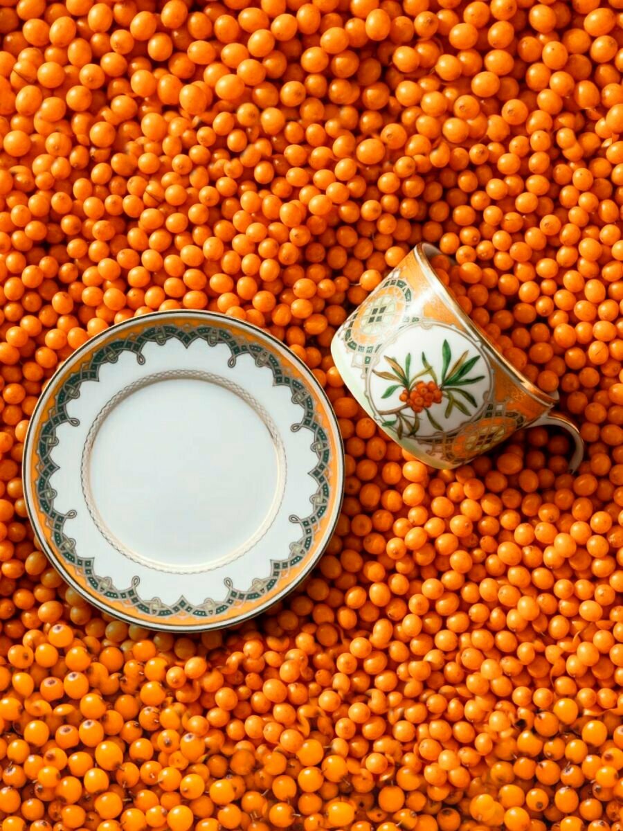 Чайная пара 300 мл. Форма "Соло", рисунок "Облепиха сибирская". Фарфор. Императорский фарфоровый завод ИФЗ ЛФЗ. Чашка, кружка с блюдцем. Подарочная упаковка