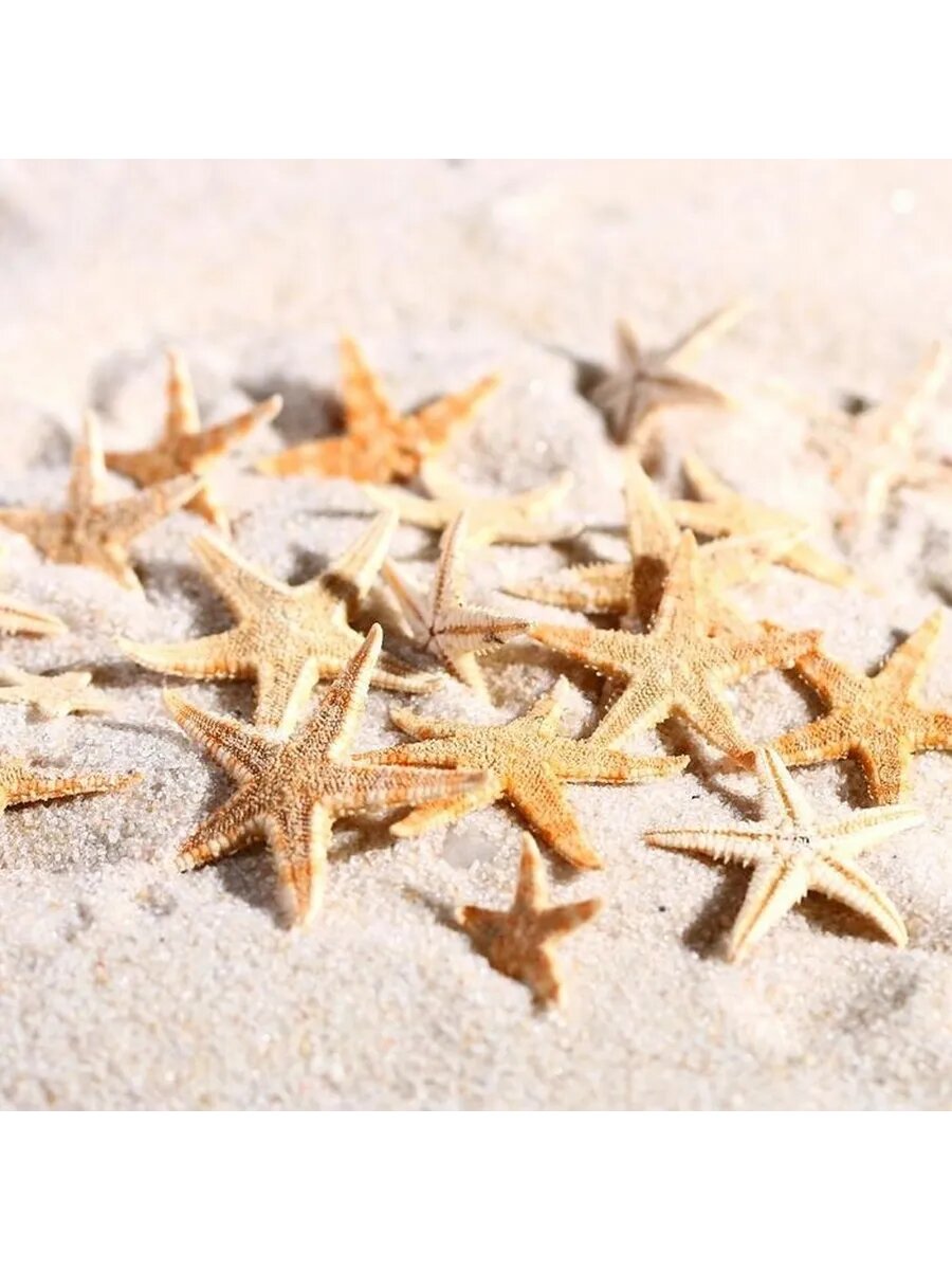 Набор морских звезд для аквариума
