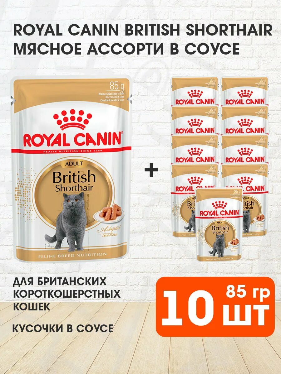 Корм влажный Royal Canin British Shorthair Adult для взрослых британских короткошерстных кошек в соусе пауч, 85 г х 10 шт