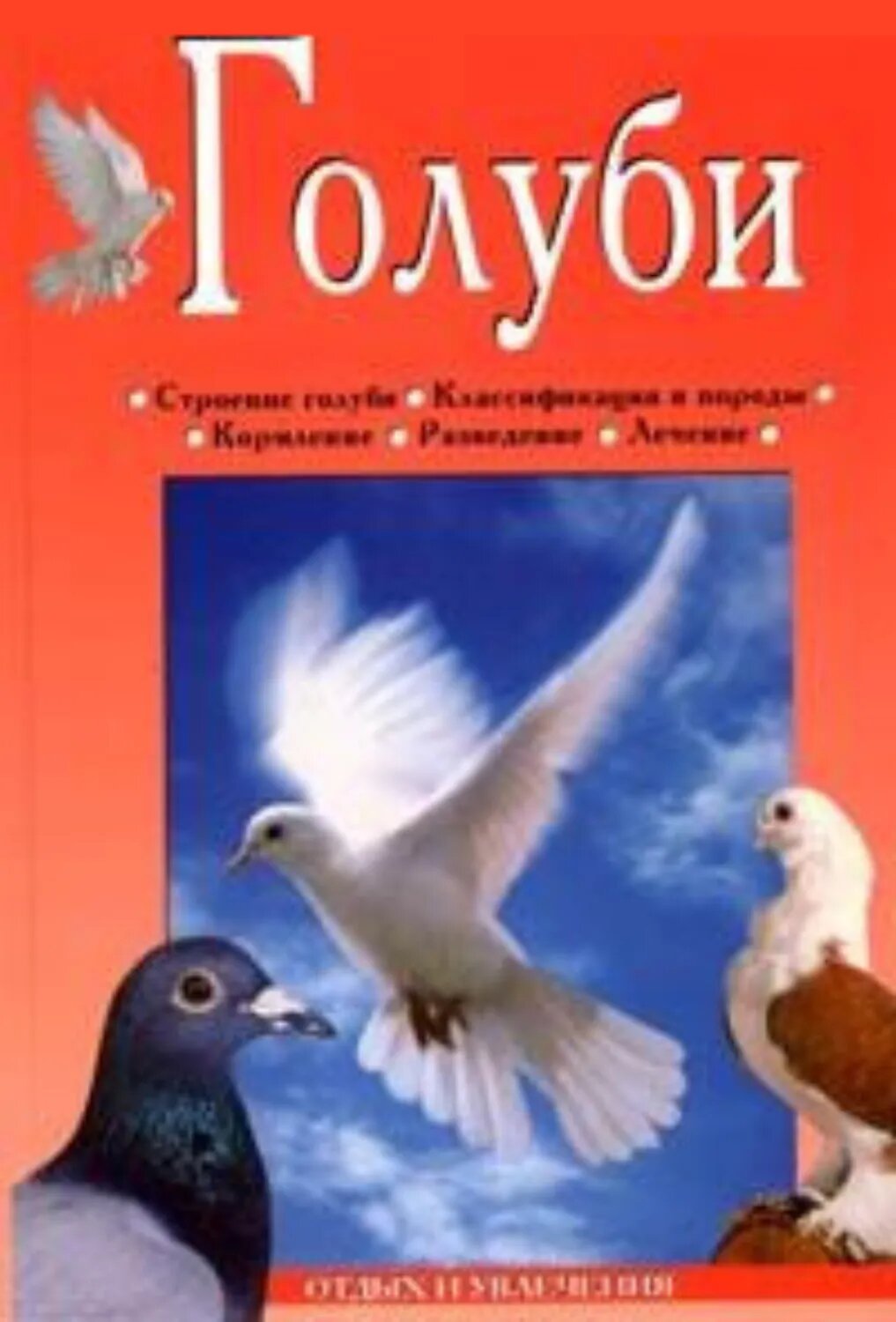 Голуби [Цифровая книга]