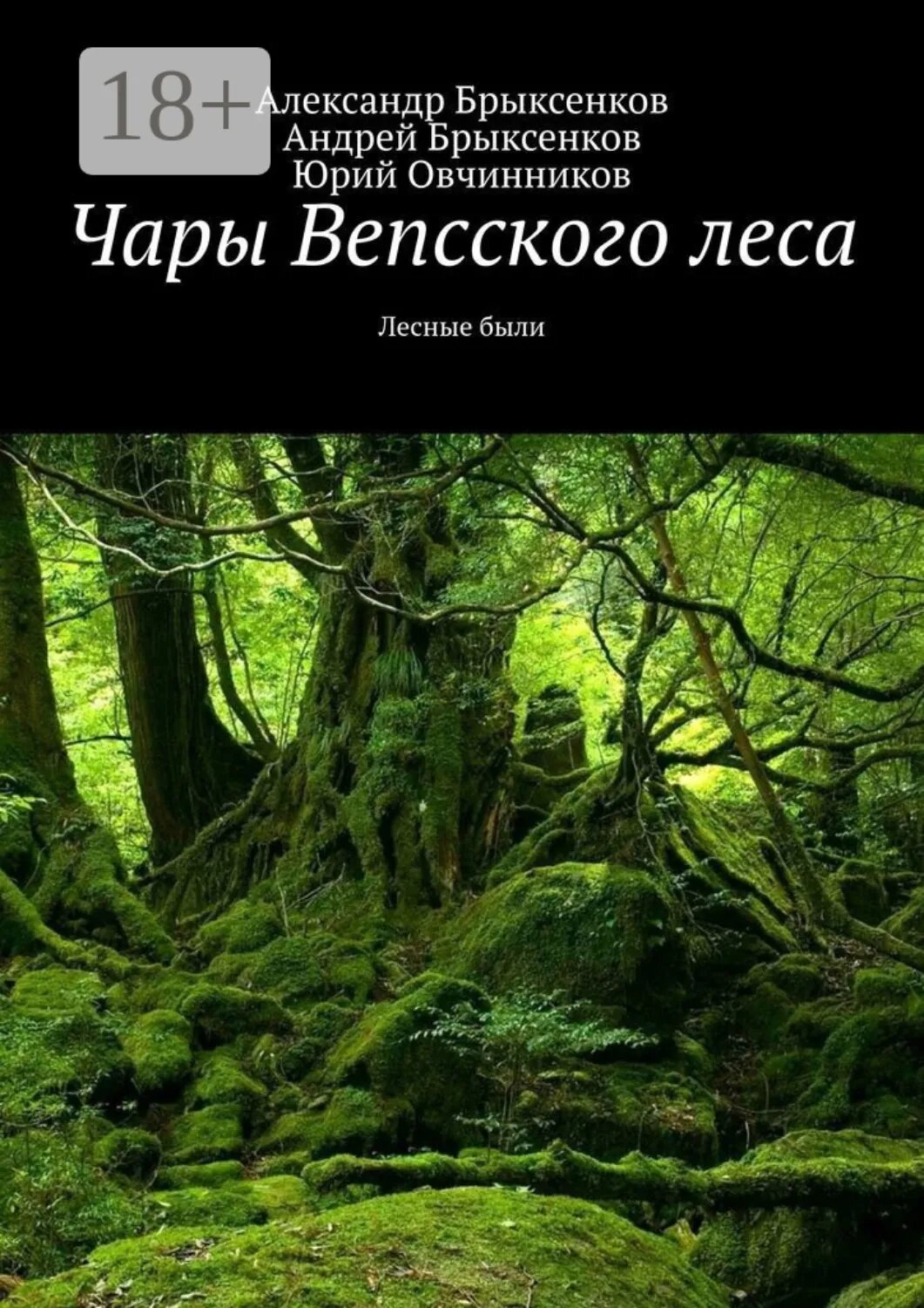 Чары Вепсского леса. Лесные были [Цифровая книга]