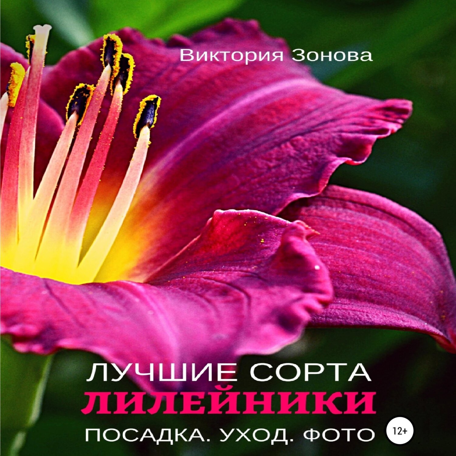 Лилейники. Лучшие сорта [Аудиокнига]