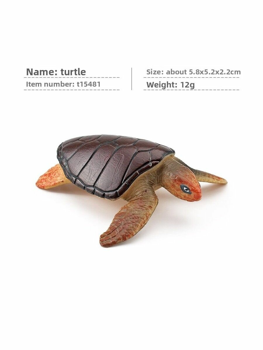Pvc коллекция водных черепах для любителей и натуралистов с точными характеристиками стиль f