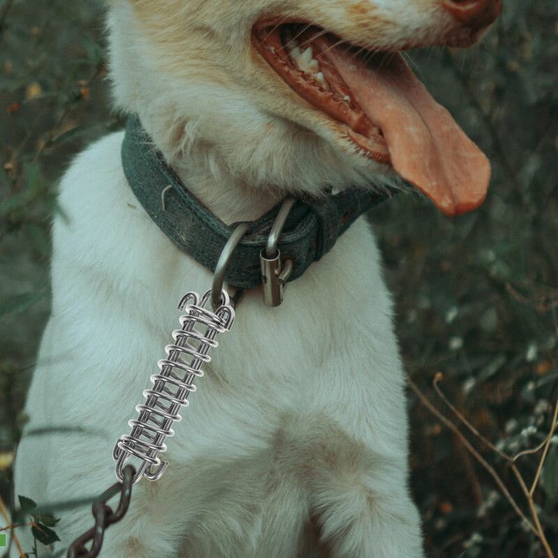 Поводок с амортизатором, пружинные пружины для собак, поглощающие вибрации на улице, ультразвуковые принадлежности для прогулок