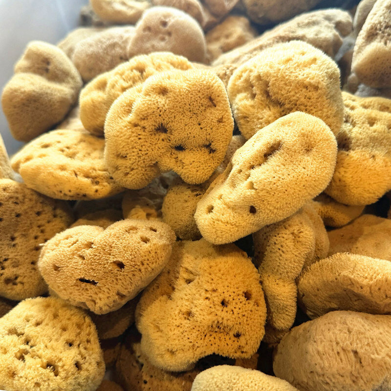 Греческая натуральная губка для купания детей, детская губка для ванны, артефакт для мытья лица, губка из морских водорослей с медовой структурой