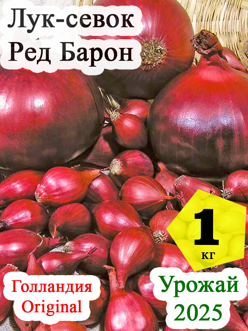 Лук севок Ред Барон 1 кг Голландия