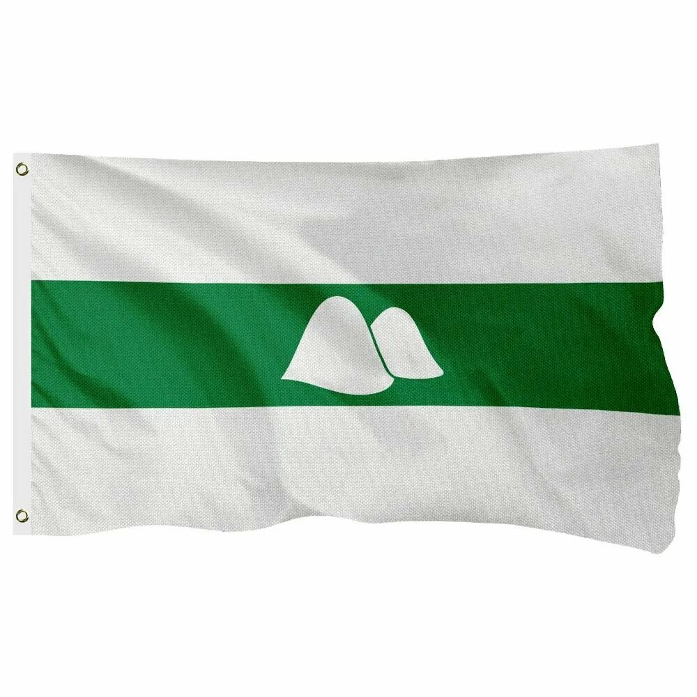 Флаг Курганской области, плотная полиэстеровая ткань 400D, двусторонняя печать, четырёхкратная прошивка по краю, стойкий к выцветанию, с двумя латунными люверсами, подходит для дома и улицы.