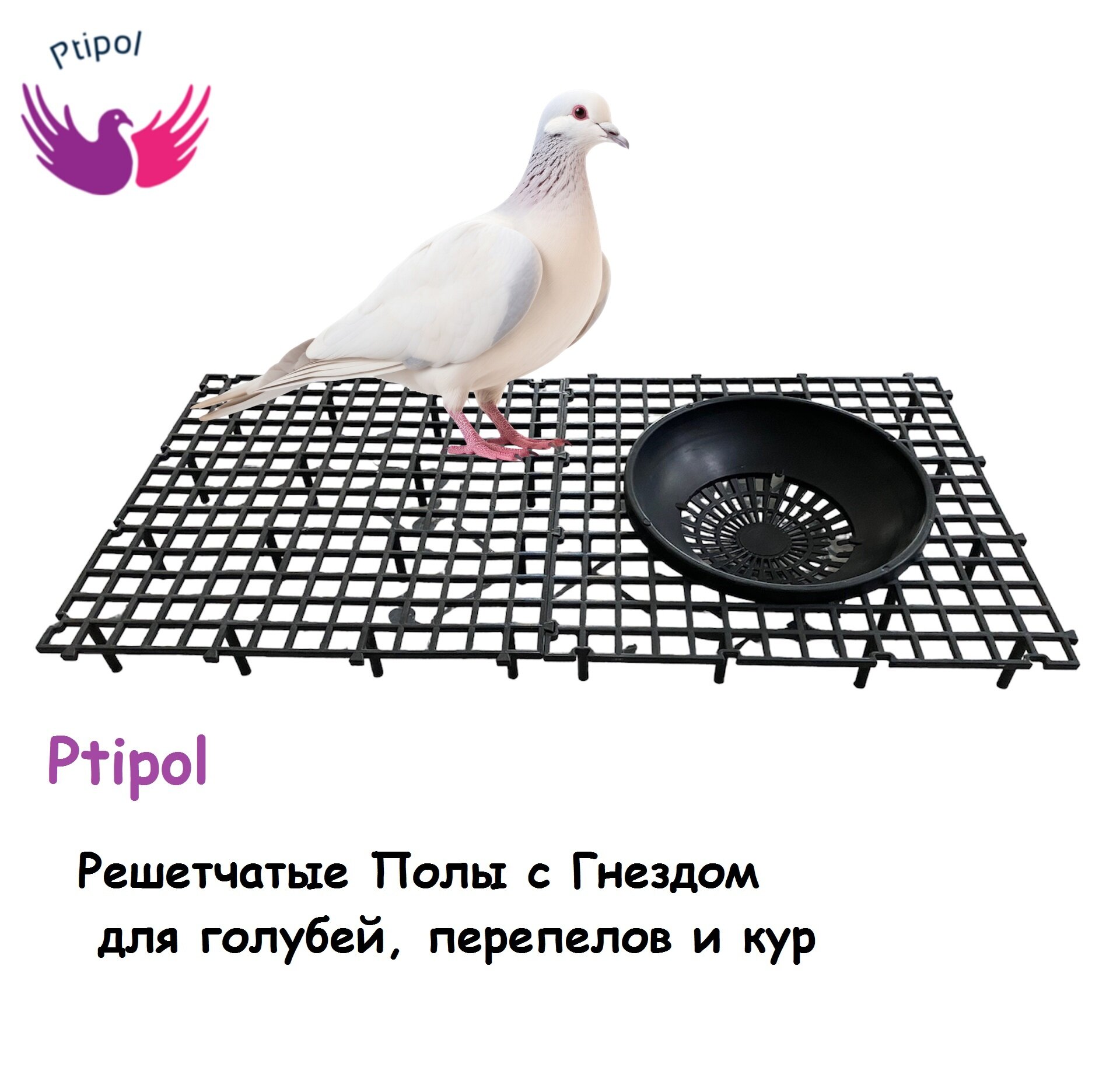 Решетчатый пол ptipol, с гнездом, для голубей и птиц, черный, 35x35 см