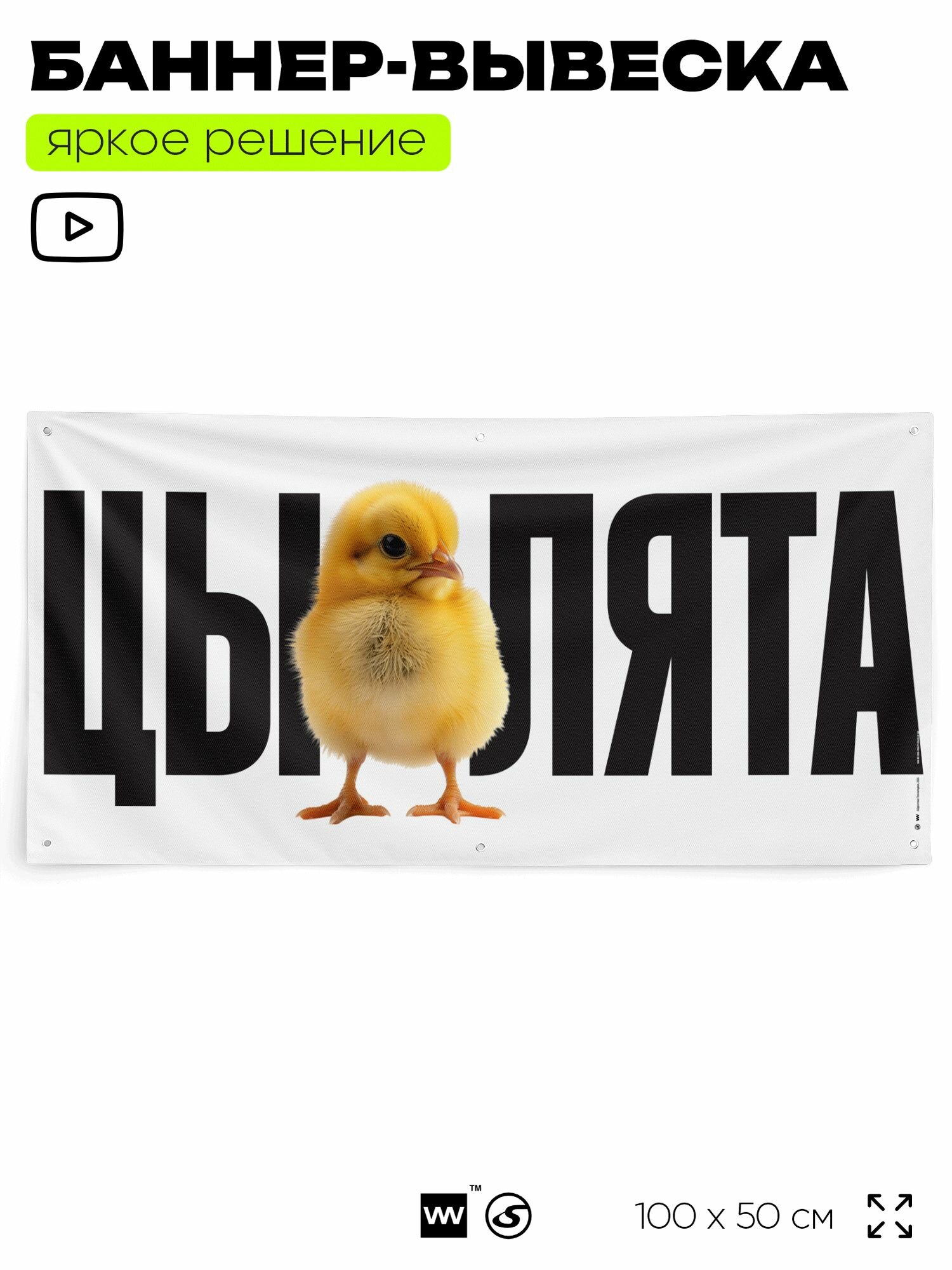 Рекламная вывеска баннер "цыплята", 100х50 см, с люверсами, для магазина, белый, Silver Plane x Айдентика Технолоджи