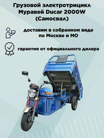 Грузовой электротрицикл Ducar Муравей (самосвал), 2000W, в сборе