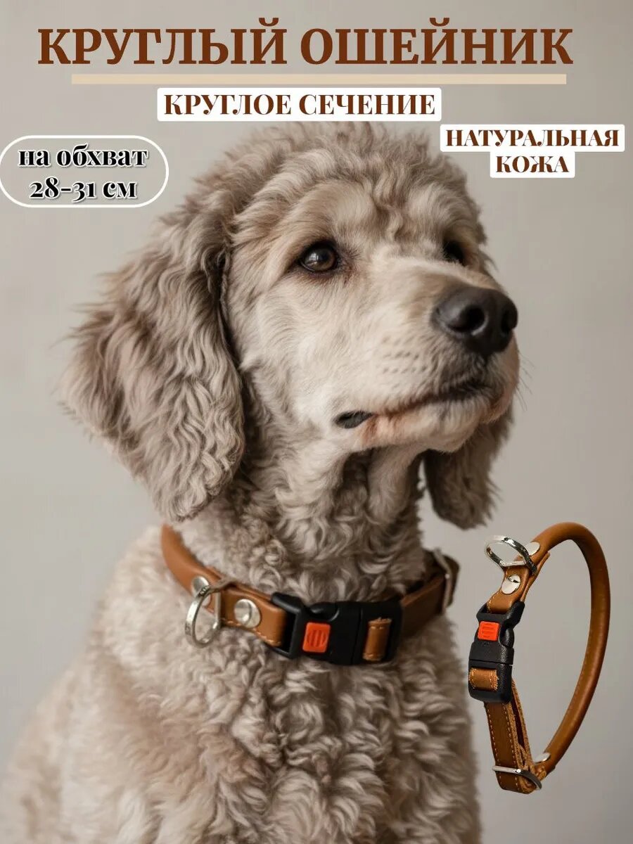 Dogbond Ошейник для шпица круглый кожаный 28-31 см