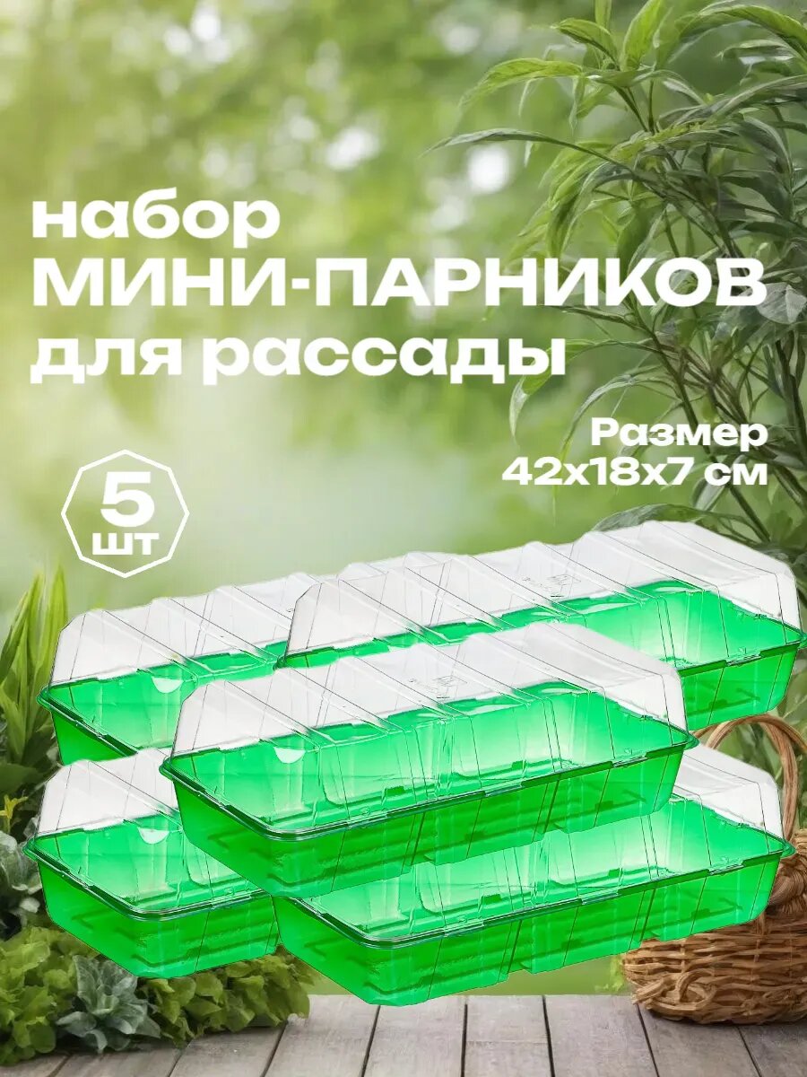 Минипарник с крышкой без вставок: дно + крышка, набор 5 шт