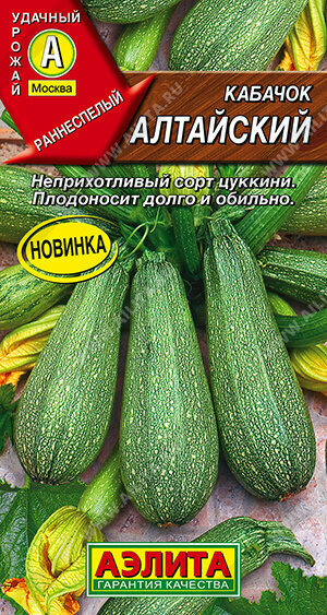 Кабачок цуккини Алтайский