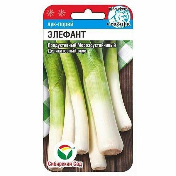 Семена Лук - порей Элефант - деликатесный вкус. Сибирский Сад .
