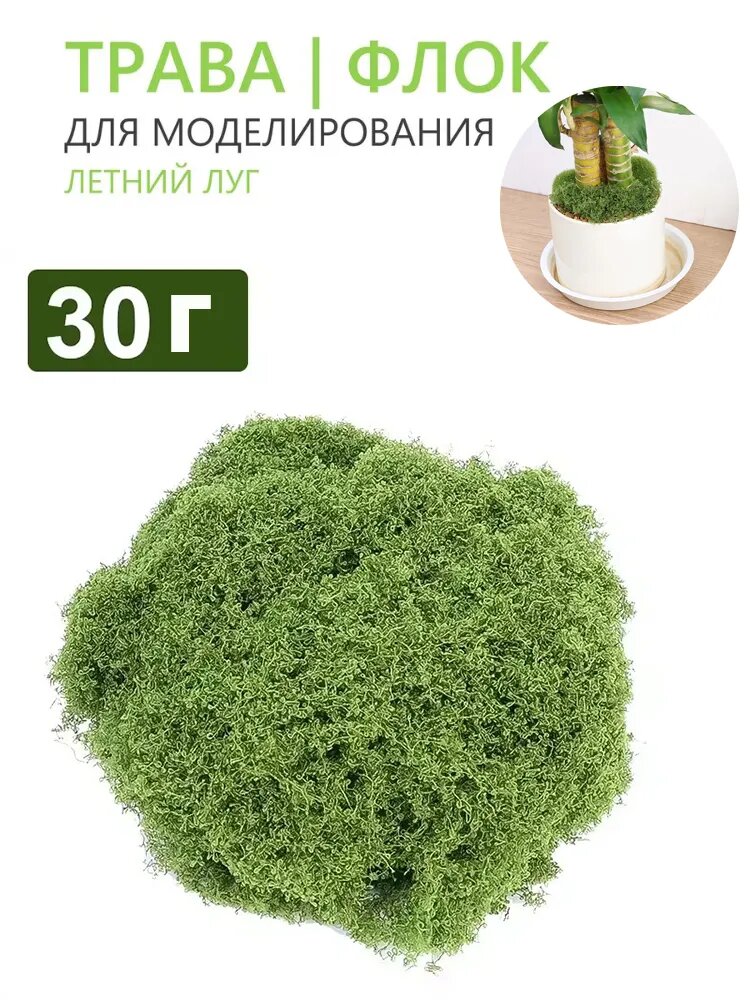 Стабилизированный мох Мох