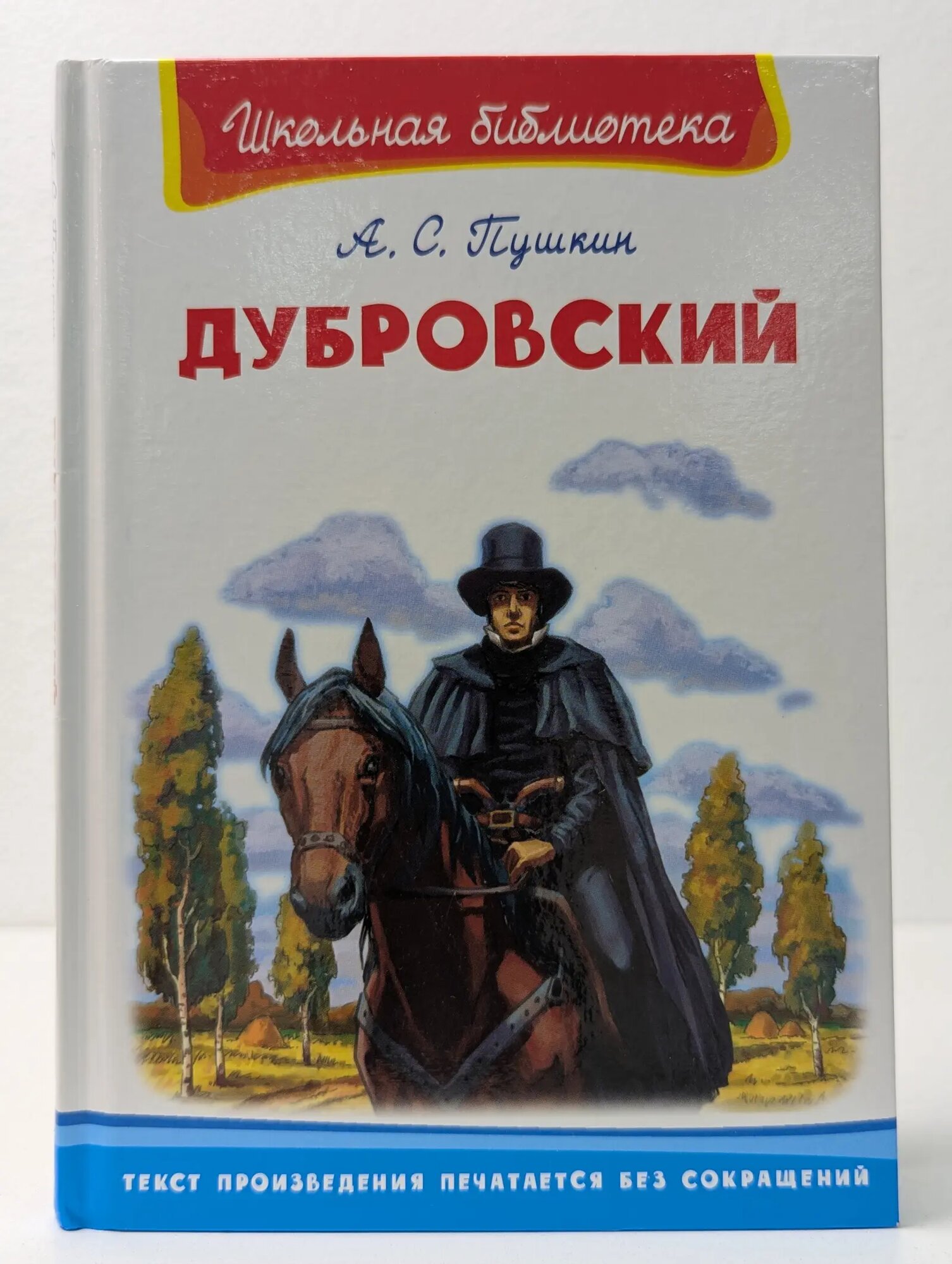 Школьная библиотека. Дубровский Пушкин Александр Сергеевич 2021