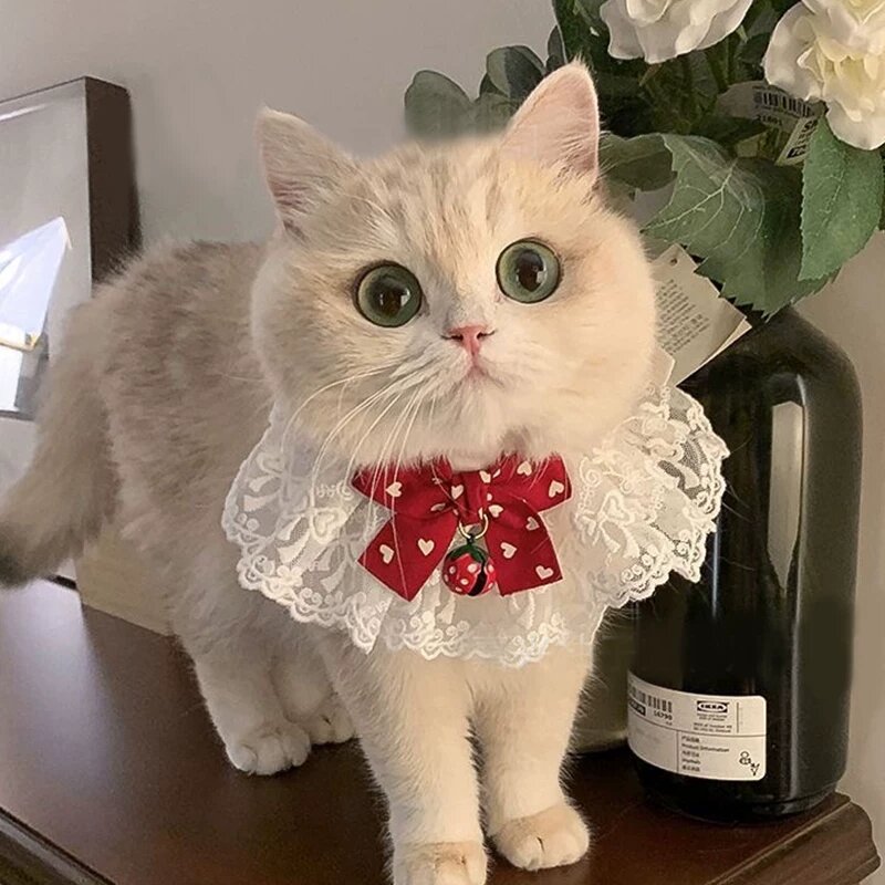 Красная земляника с колокольчиком собачья салфетка S размер Окружность шеи 20-25см для крупных пород