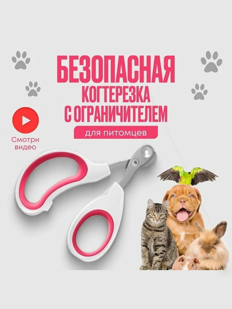Когтерез