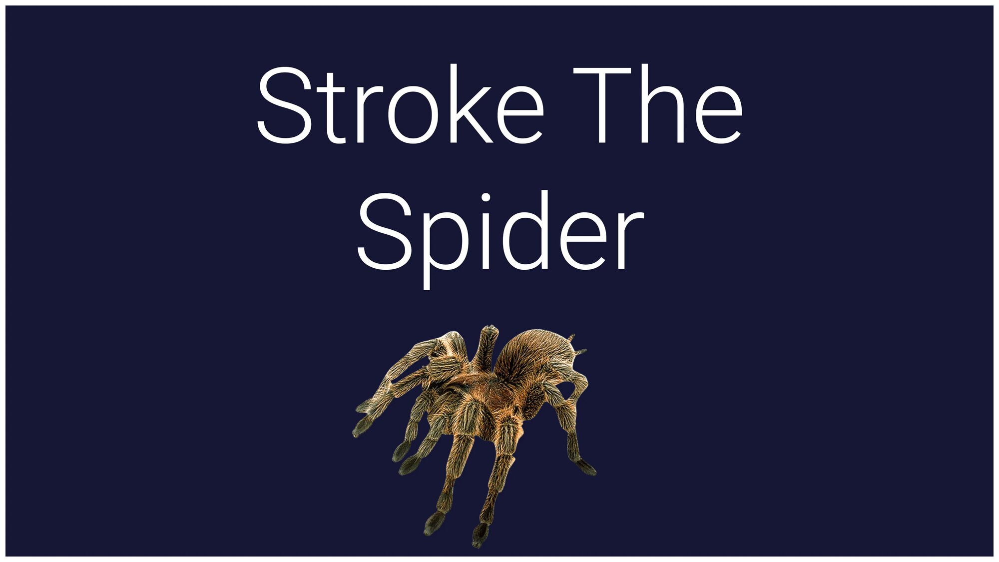 Stroke The Spider для Sony PlayStation | PS4 и PS5 | Игра навсегда | Быстрая доставка (Турция)