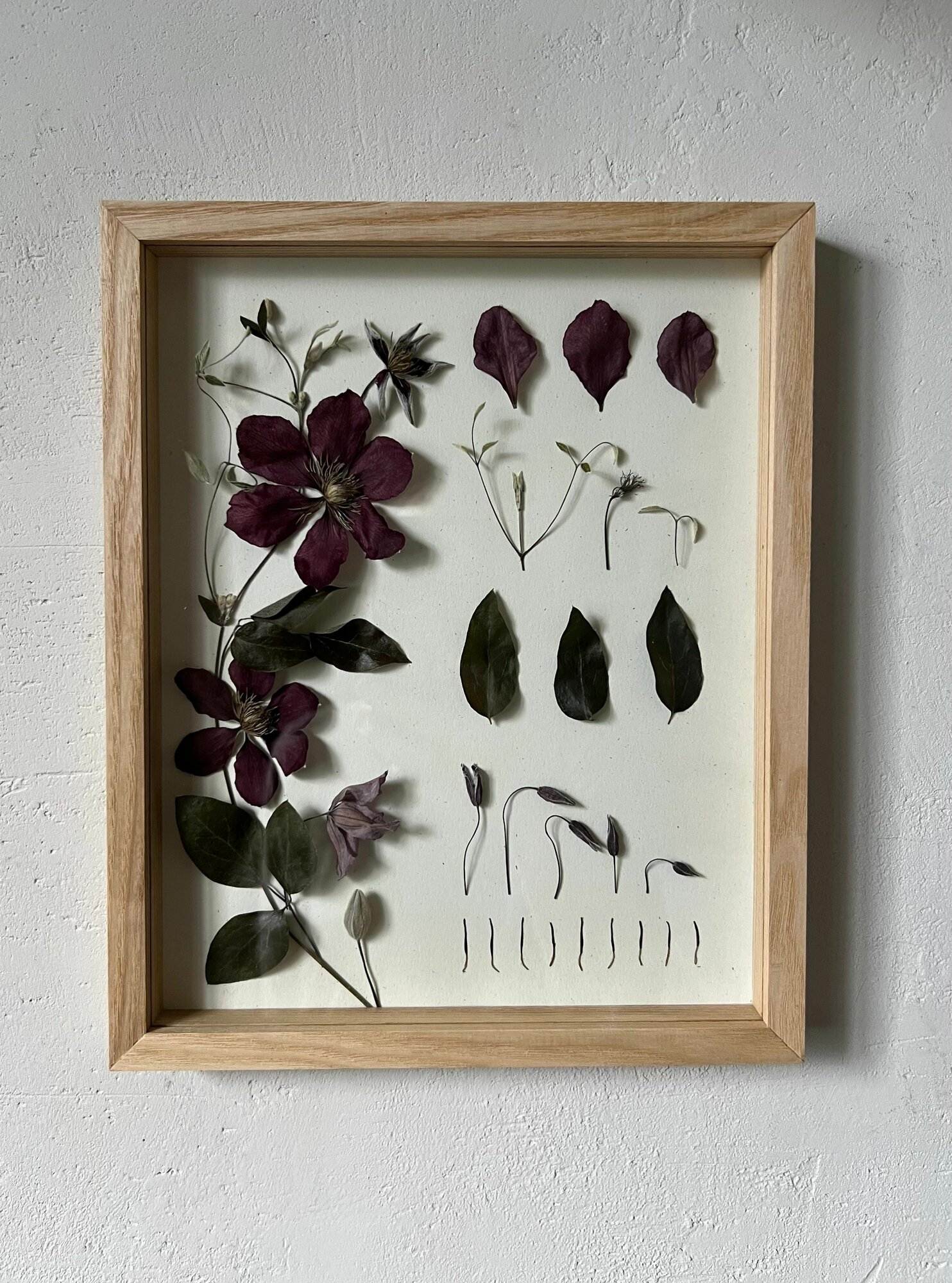 Ботаническое панно из натуральных растений в глубокой рамке 27,5х22,5 см. / Olya_klever