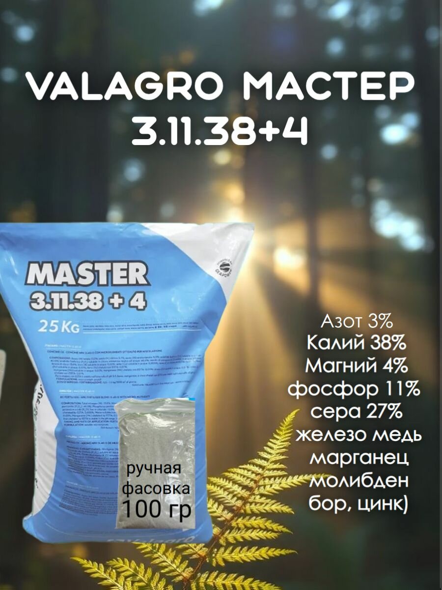 Valagro Мастер 3.11.38+4 100 г (Ручная Фасовка)