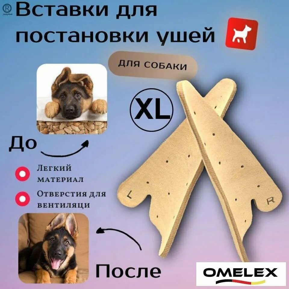 Одежда для животных